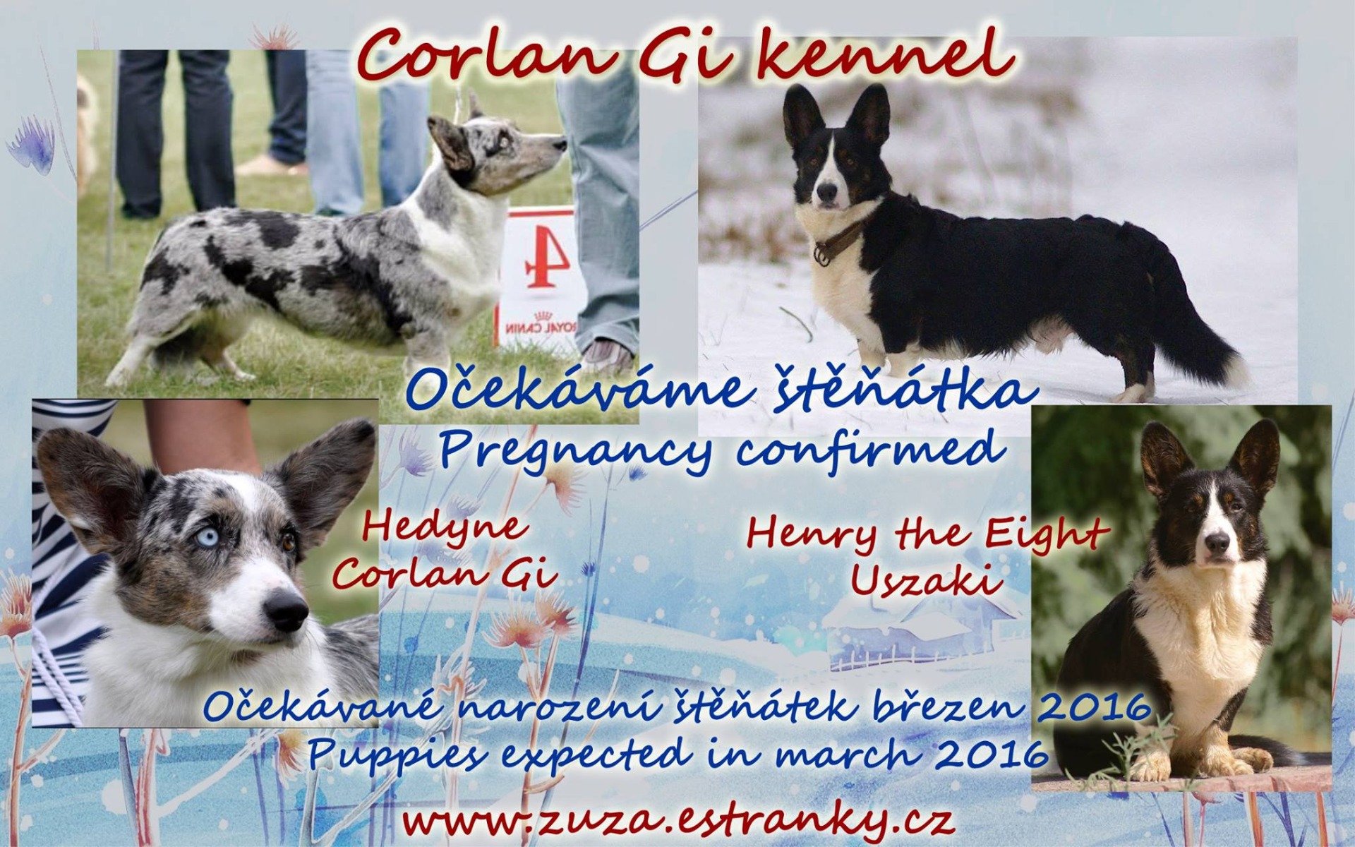 VRHY WCC :: corlangi